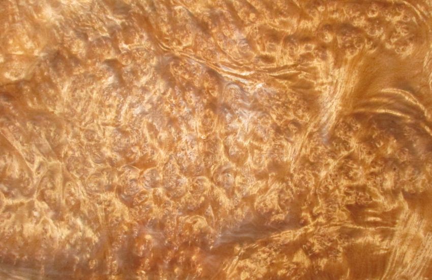 Metz Furniere - Amboina Maser (Wurzelholz) Furnier - Shop - Detailansicht